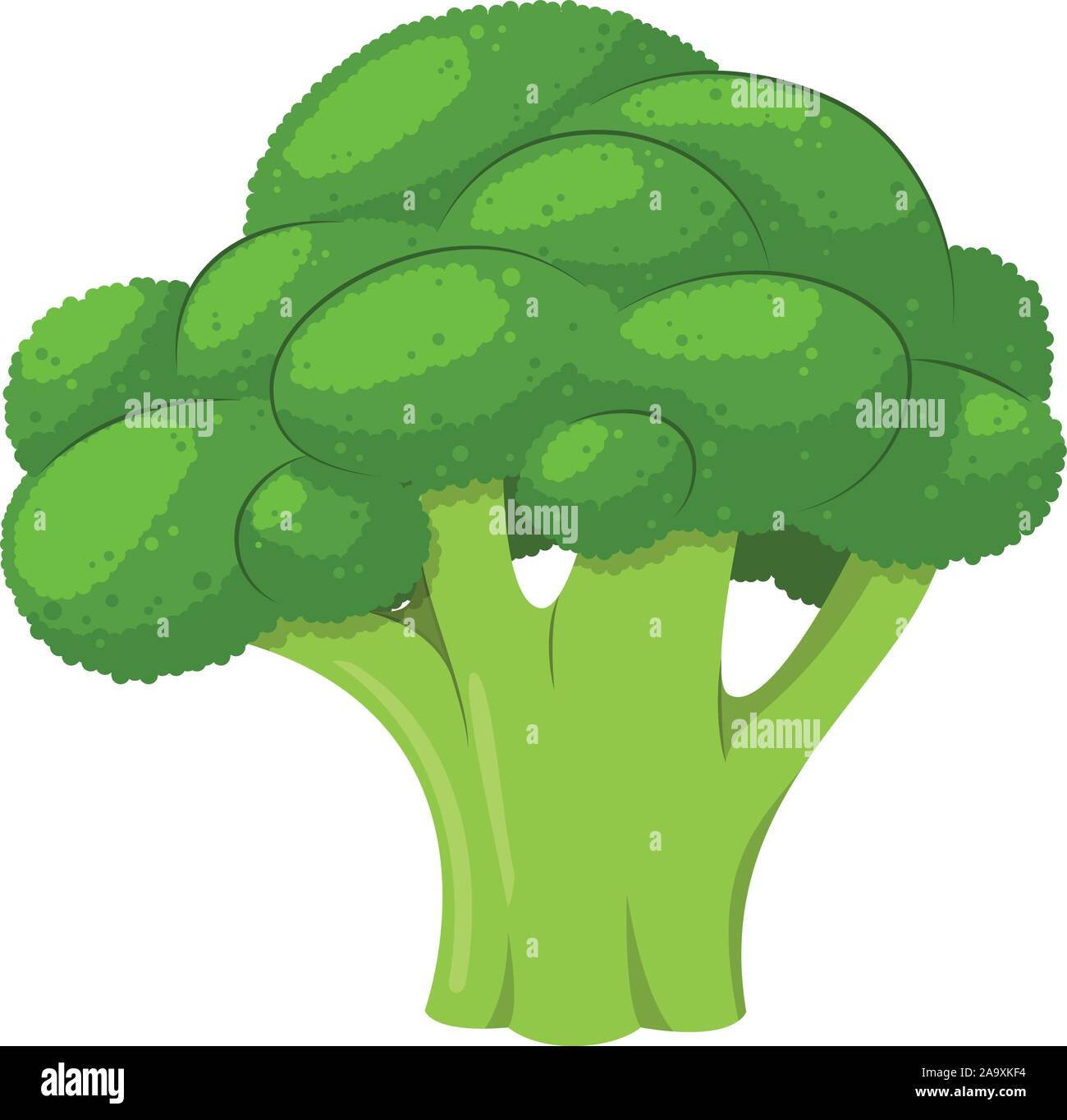 Vector illustration of a funny broccoli in cartoon style Stock Vector ...
