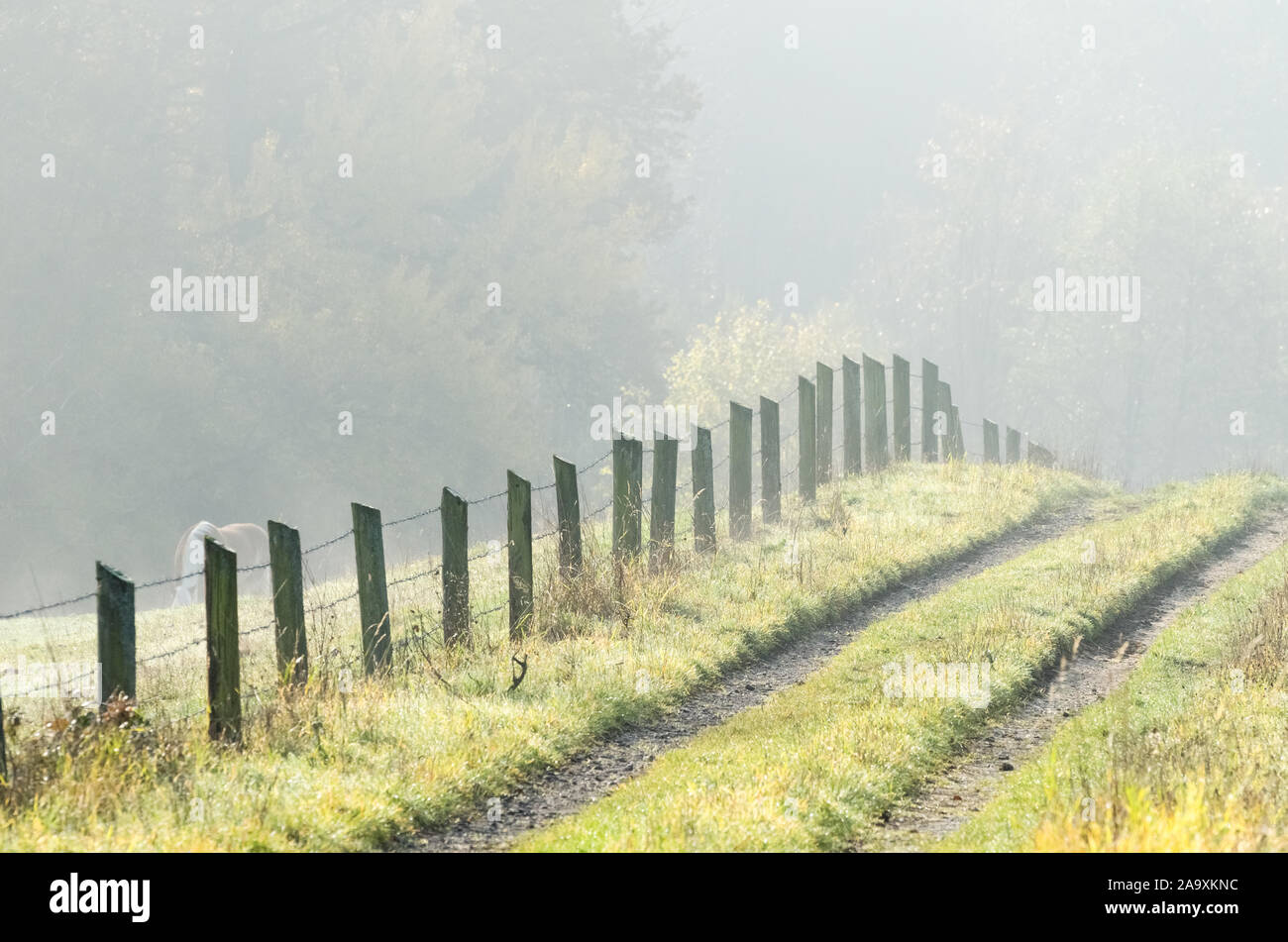 German Fence And Landscape High Resolution Stock Photography and Images ...