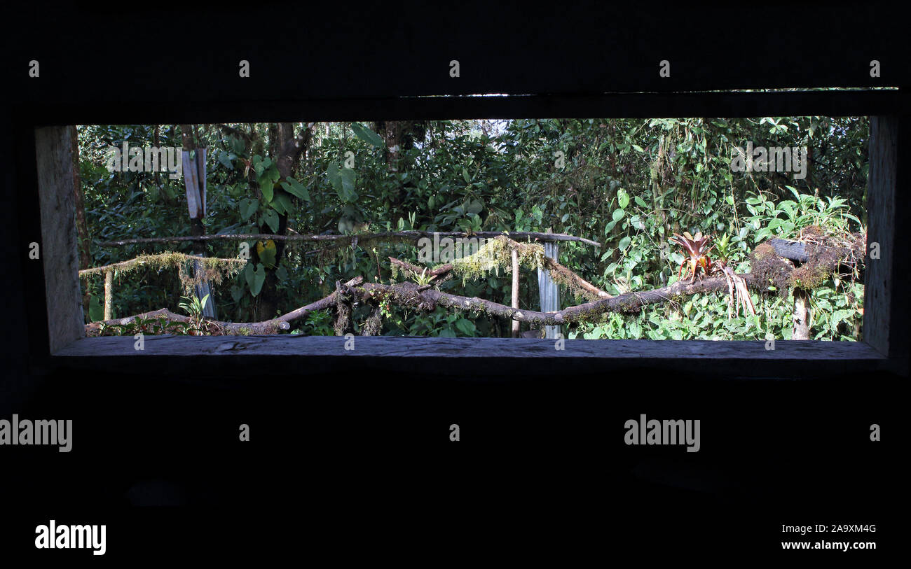 view of bird feeding station through hide opening Vinicio Birdwatchers ...