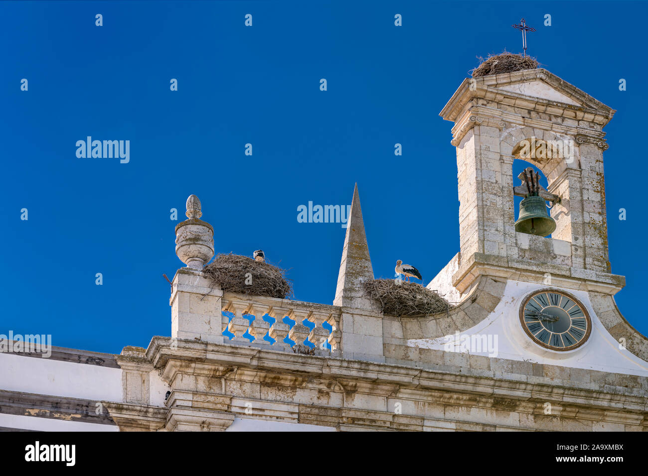 Close up of the storks nests on the Faro landmark and tourist ...