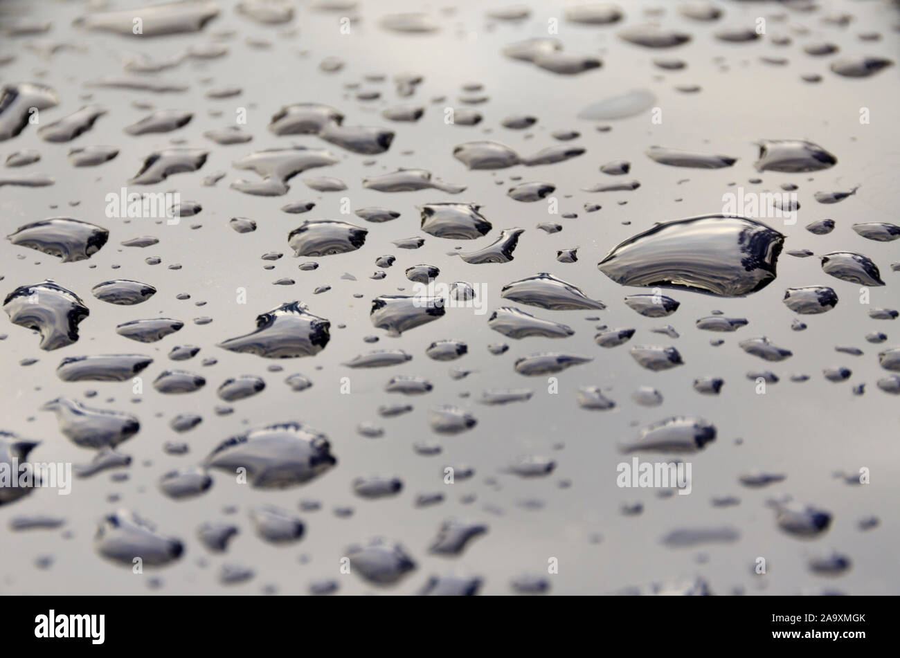 raindrops on a car body in Canada Stock Photo - Alamy
