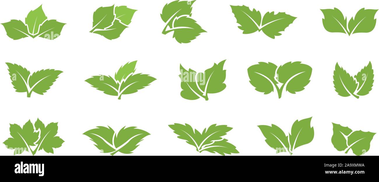 Green leaf set Stock Vector Image & Art - Alamy