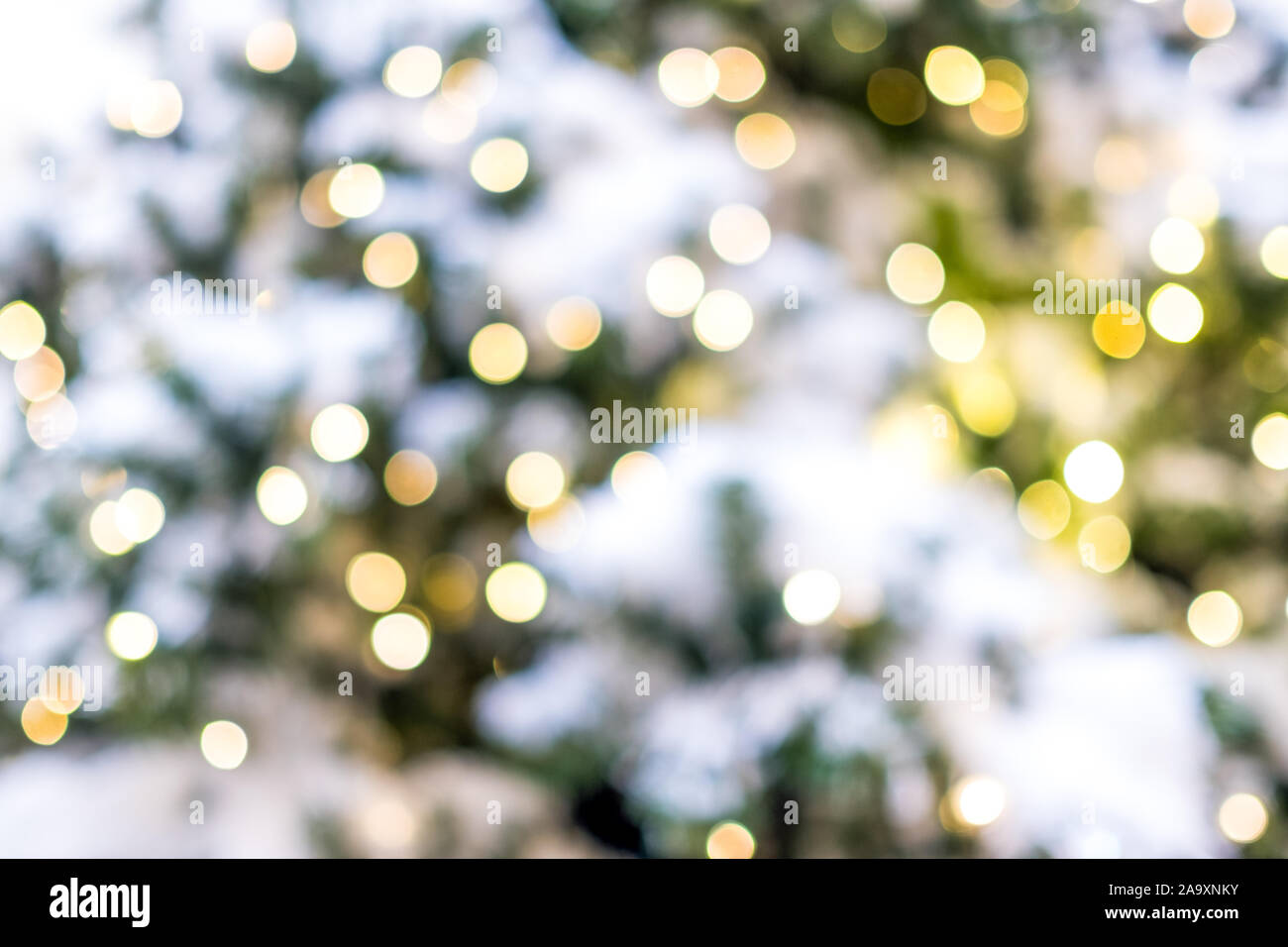 Abstract Christmas defocused light background Stock Photo - Alamy