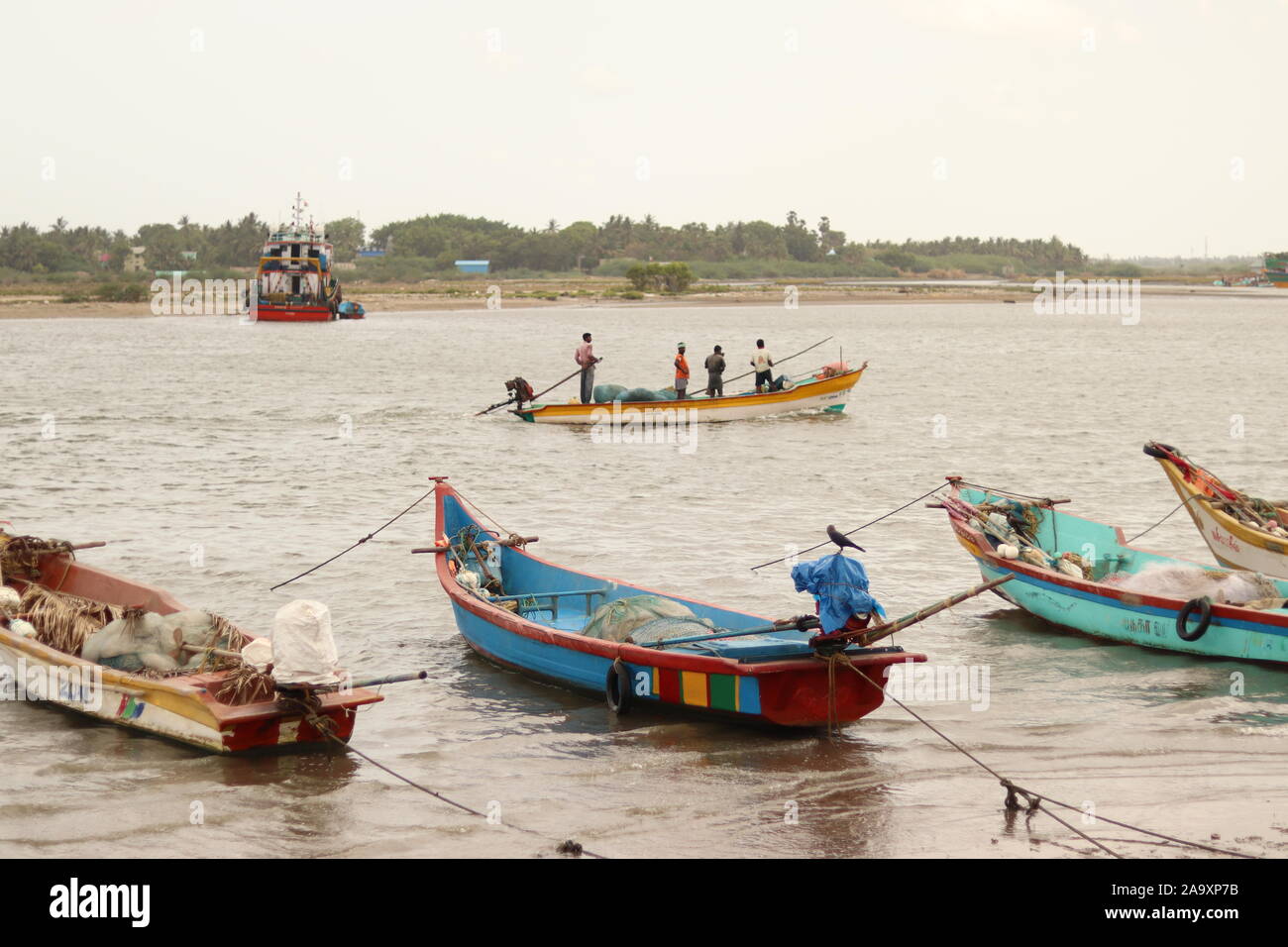 Catching Fish in Boat Stock Photo - Alamy