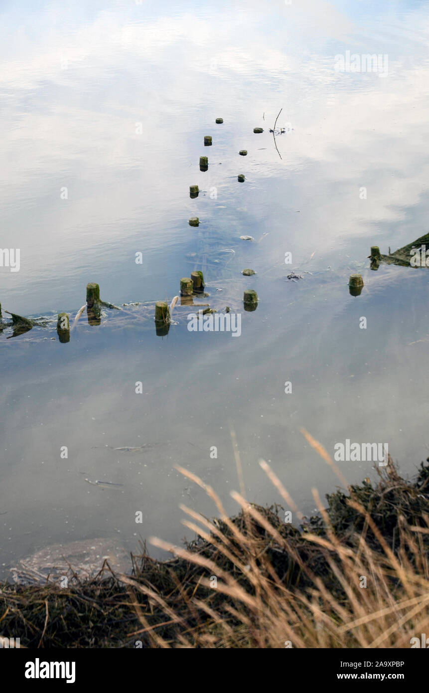 submerged posts in river deben at waldringfield suffolk uk Stock Photo ...