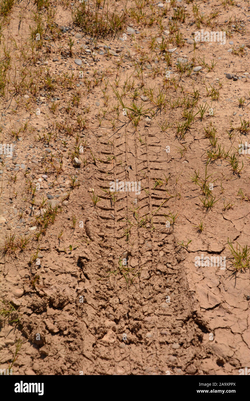 tire tracks in dry soil with dry grass, cracked dry brown soil with ...