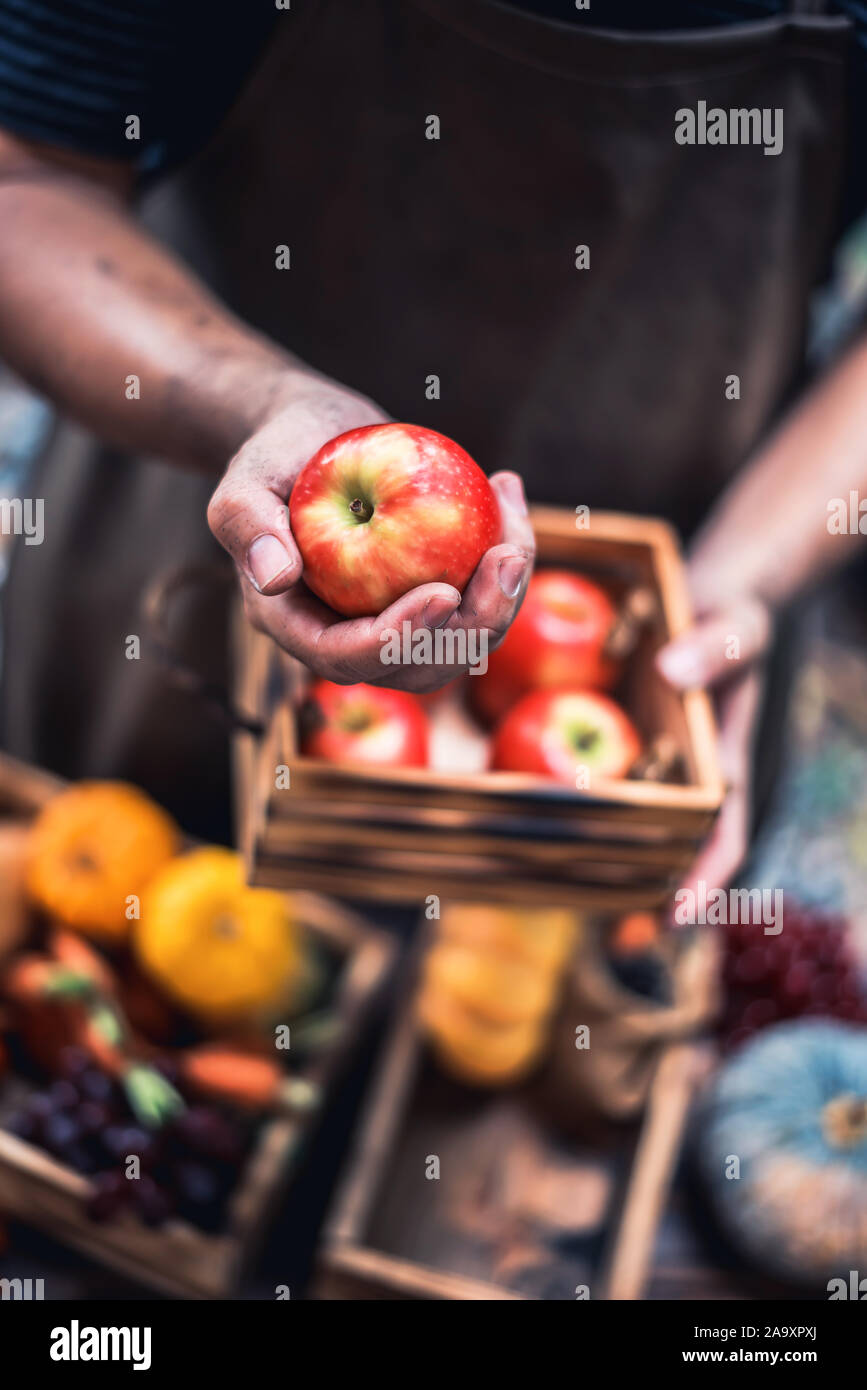 Hands the cornucopia hi-res stock photography and images - Alamy