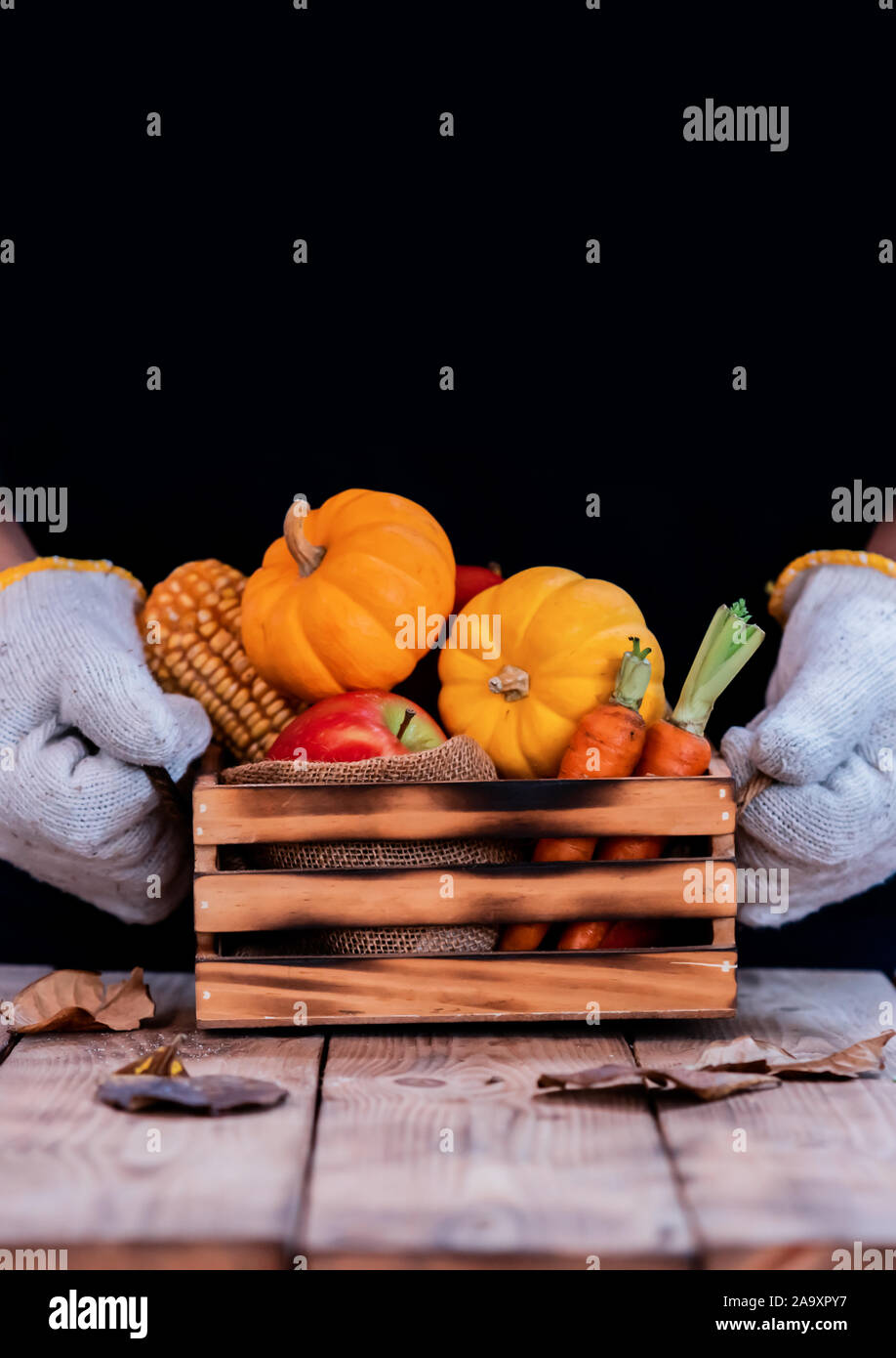 Hands the cornucopia hi-res stock photography and images - Alamy