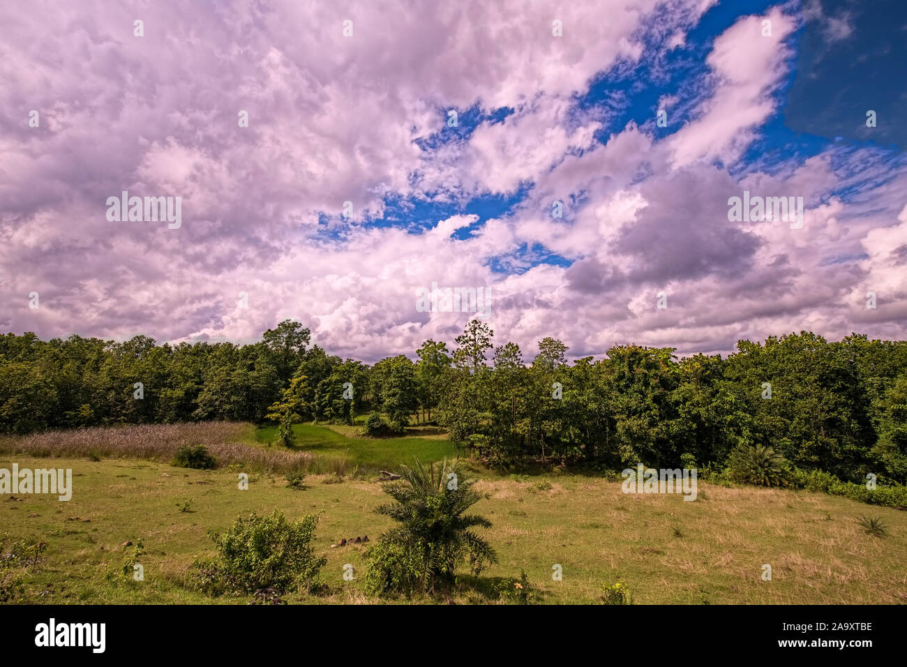 Grey to green hi-res stock photography and images - Alamy