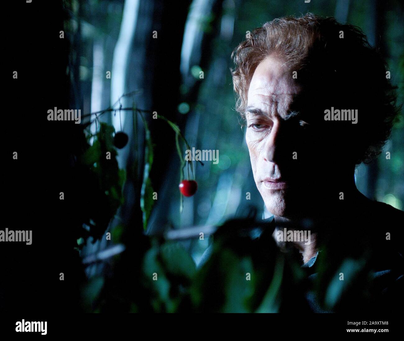Jean claude van damme directed hi-res stock photography and images - Alamy