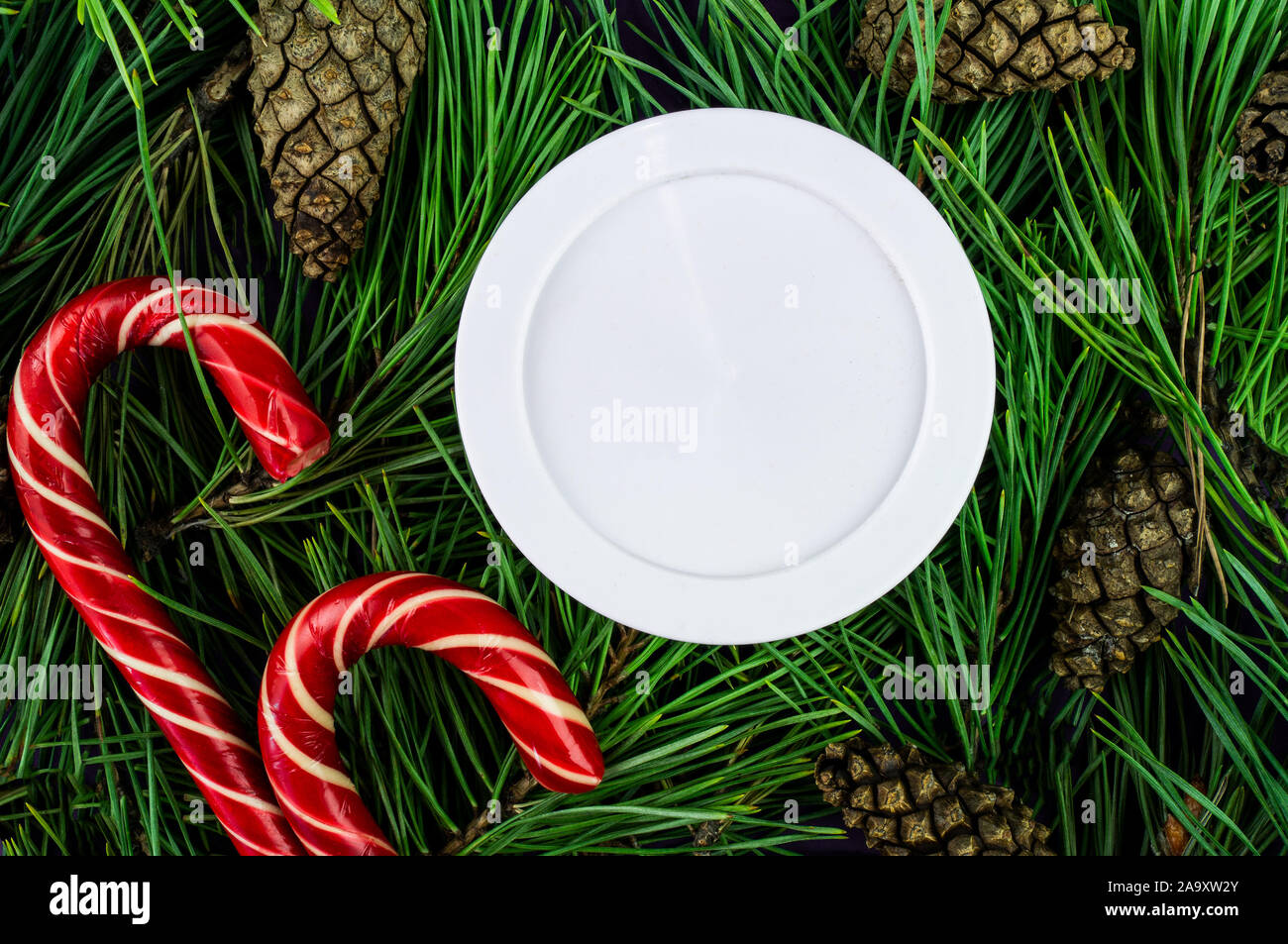 Bank cream on the background of spruce branches. Mockup for your label ...
