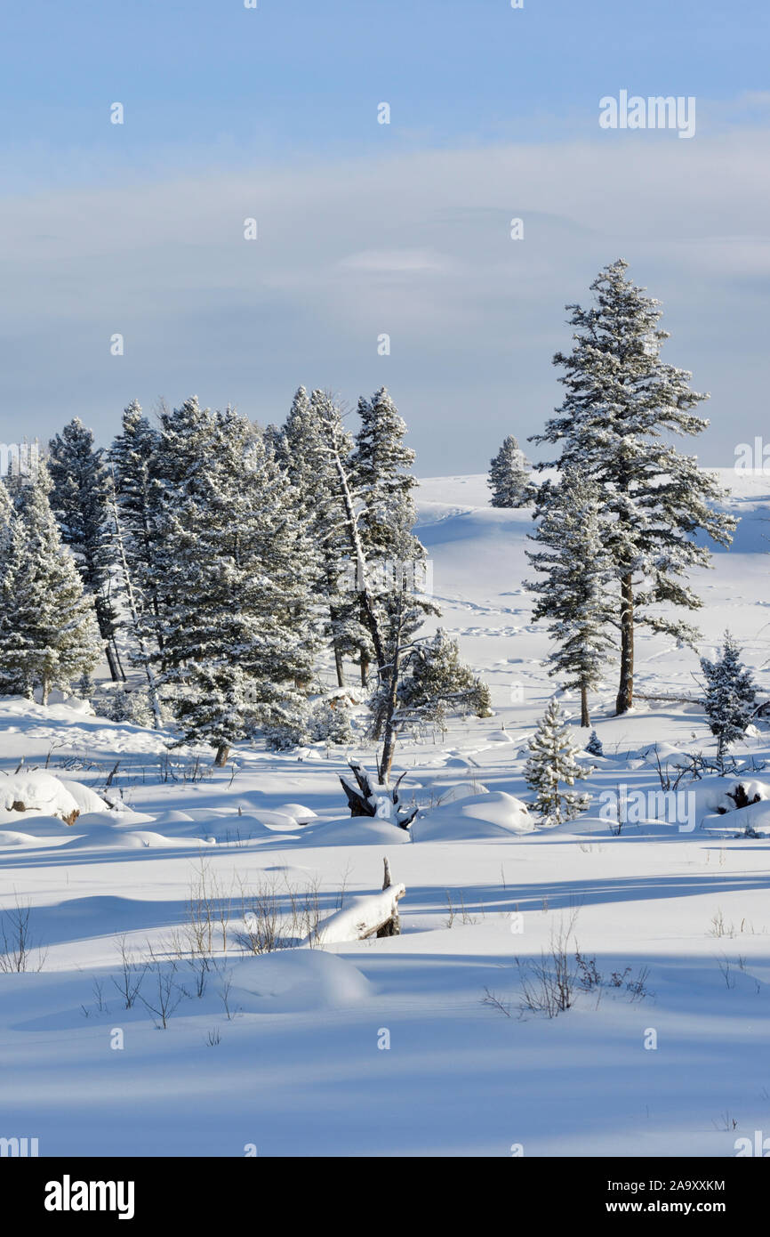 Us park and scenic hi-res stock photography and images - Alamy