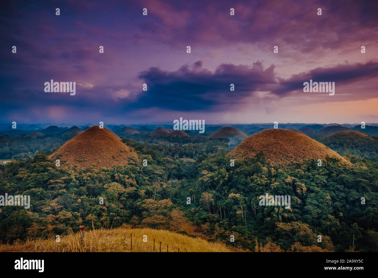 Chocolate Hills of Bohol Island Philippines Photo. Scenery Nature ...