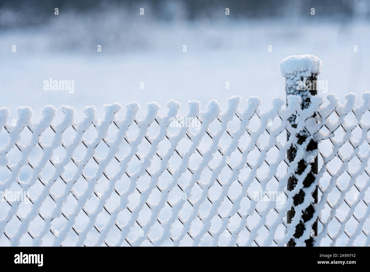 Frozen fence made of metal mesh covered with snowy hoarfrost - image Stock Photo - Alamy