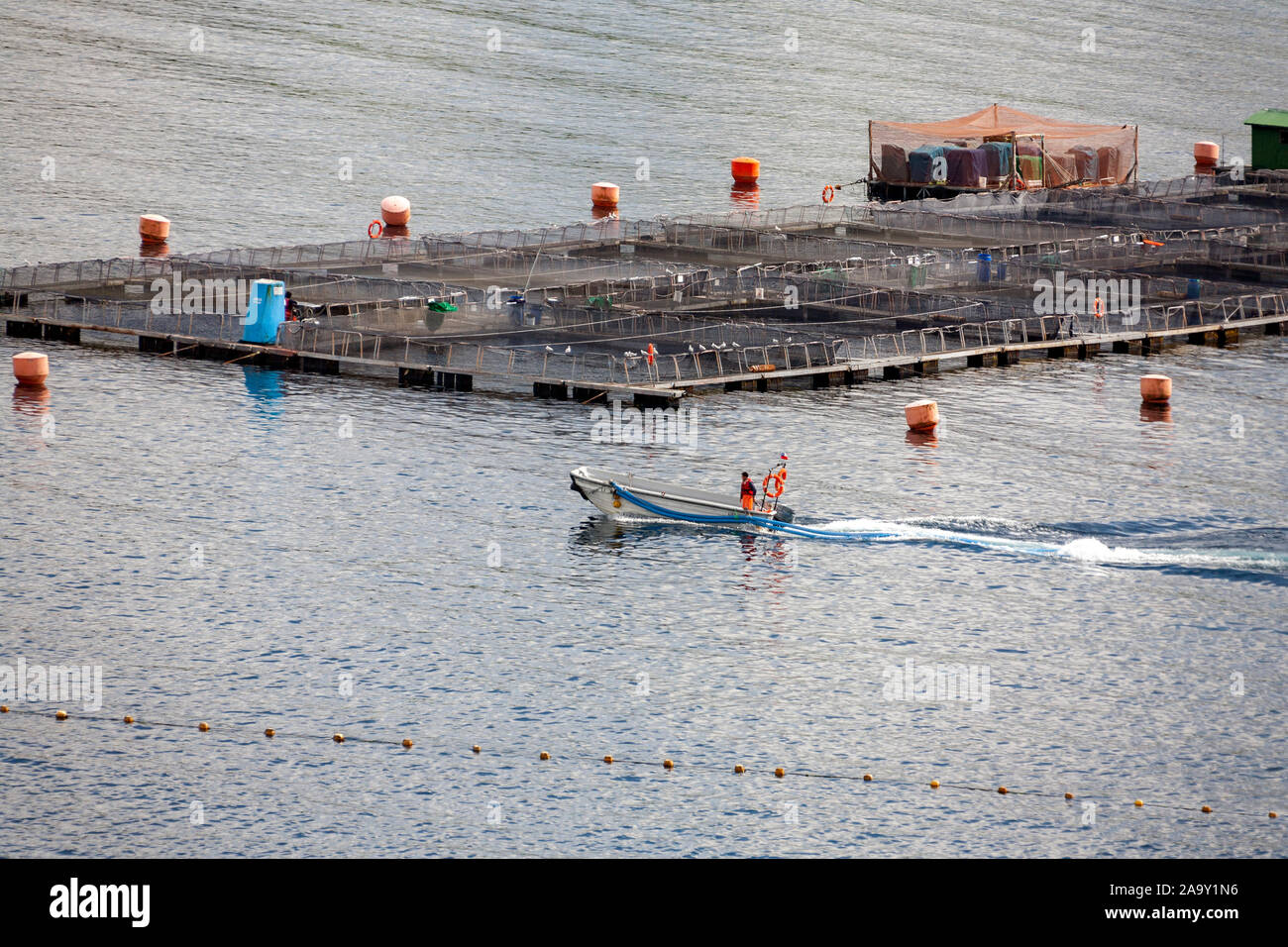 Lagos fish farm hi-res stock photography and images - Alamy