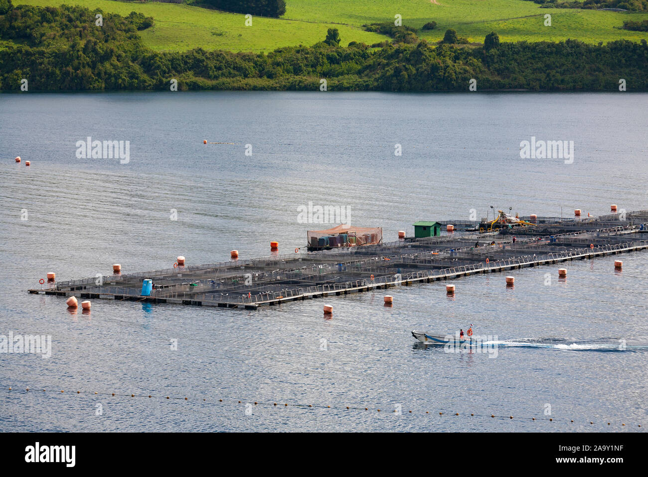Lagos fish farm hi-res stock photography and images - Alamy
