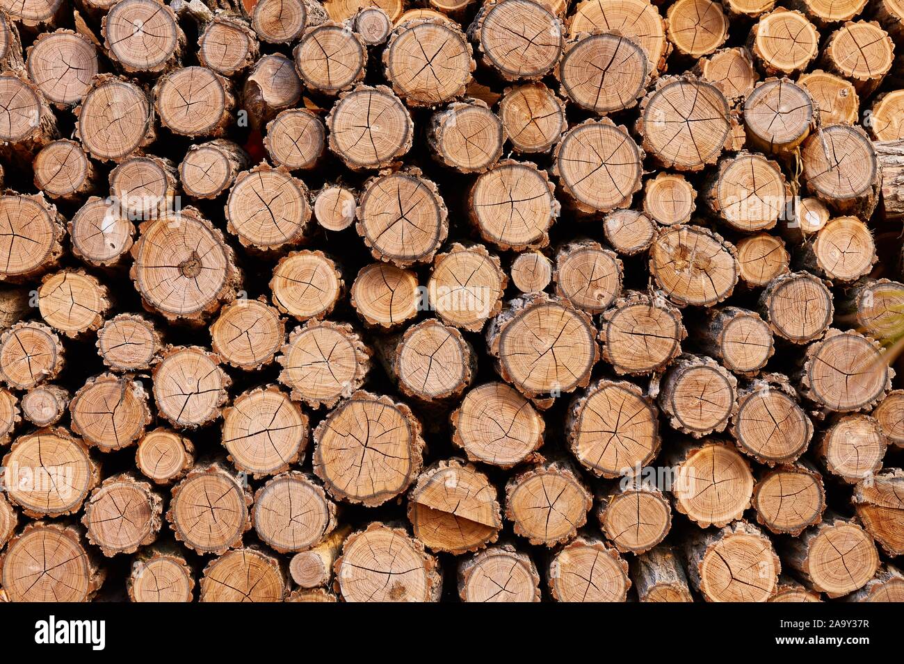 Log wood pile Stock Photo - Alamy
