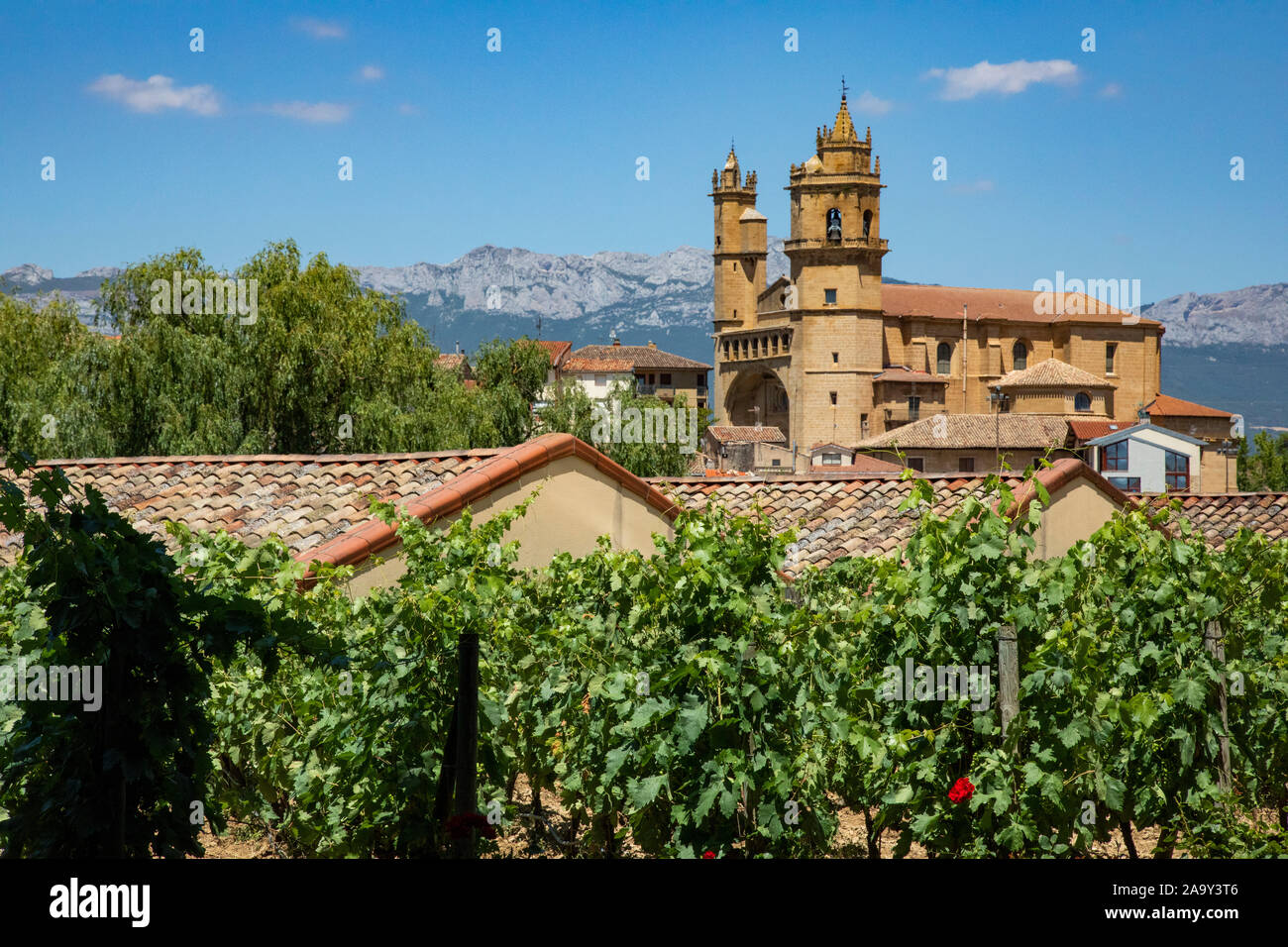 Spain, La Rioja Area, Alava Province, Elciego, elevated town view and ...