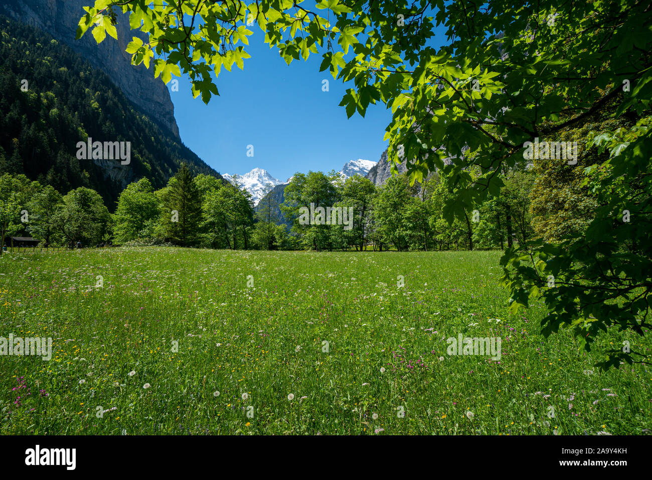 Beautiful spring field hi-res stock photography and images - Alamy