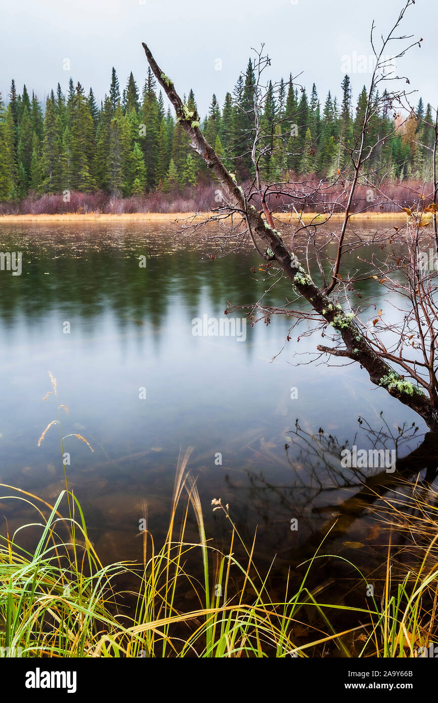 Moab Lake, Jasper, Alberta, Canada Stock Photo - Alamy