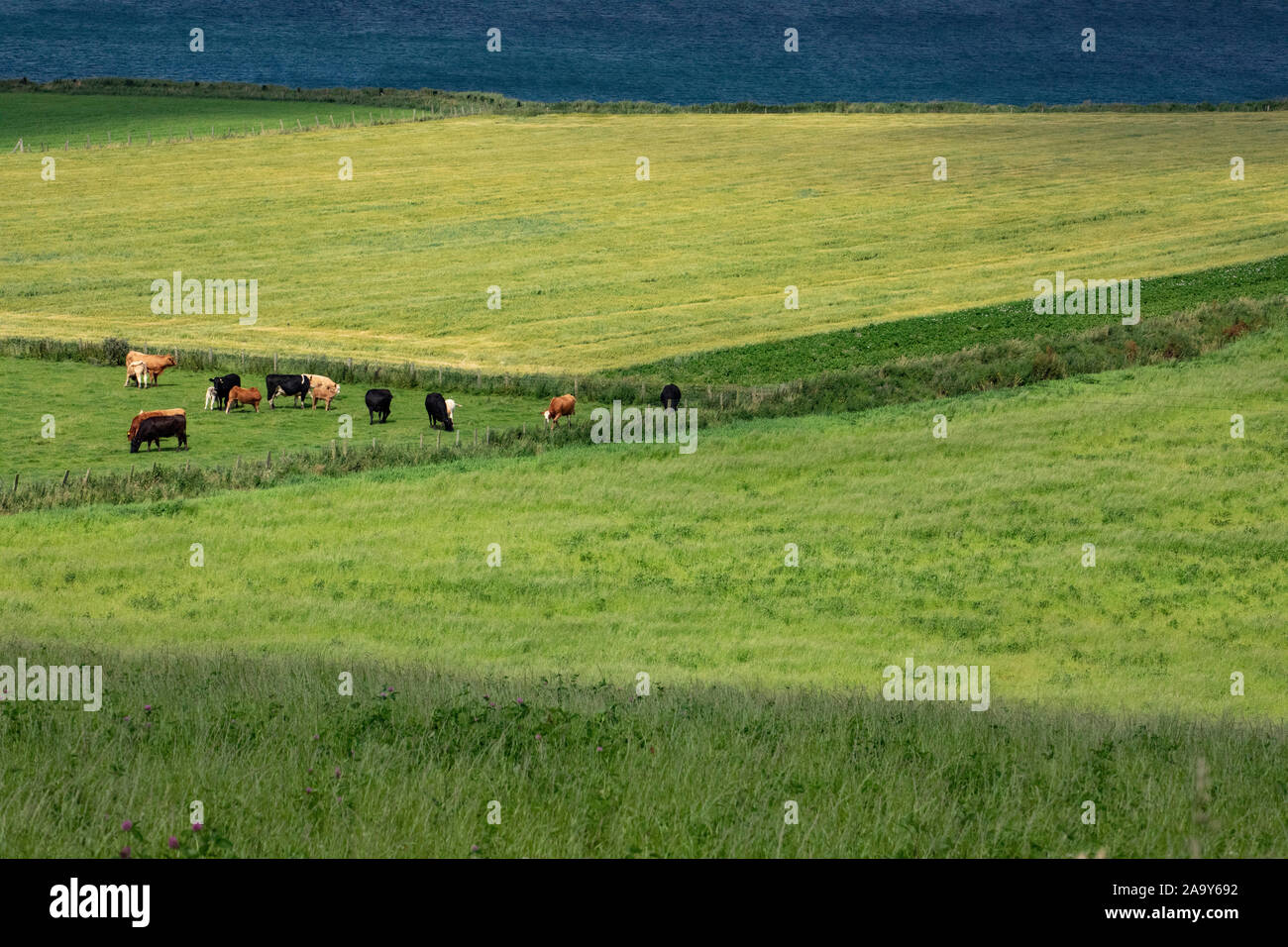 Northern ireland farm tractor hi-res stock photography and images - Alamy