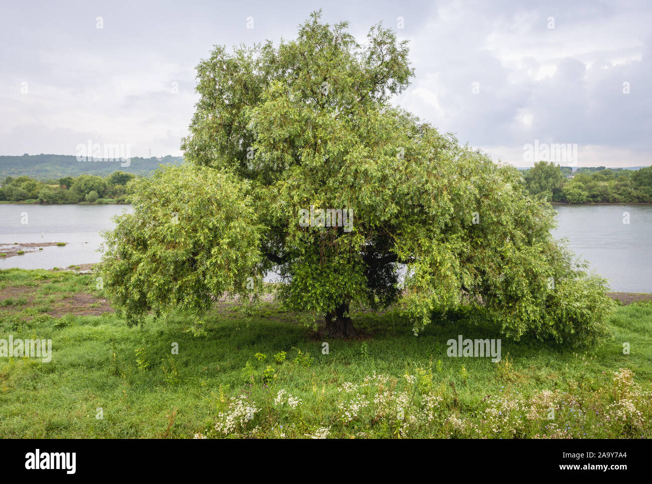 Moldova ukraine border hi-res stock photography and images - Alamy