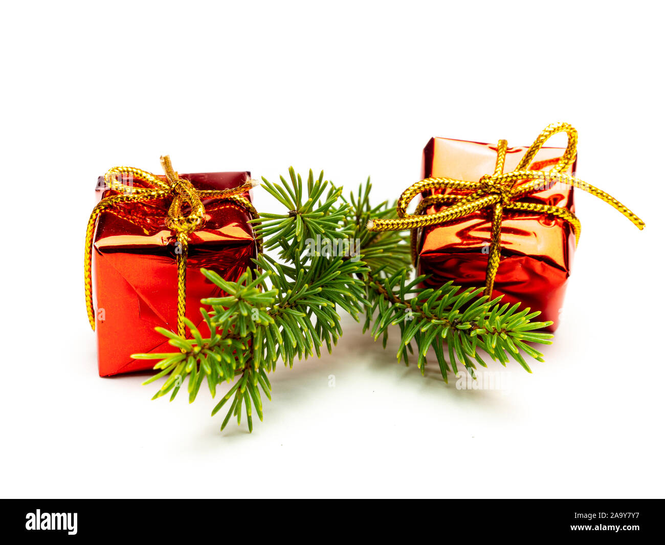 Pine branches red bow Cut Out Stock Images & Pictures - Alamy