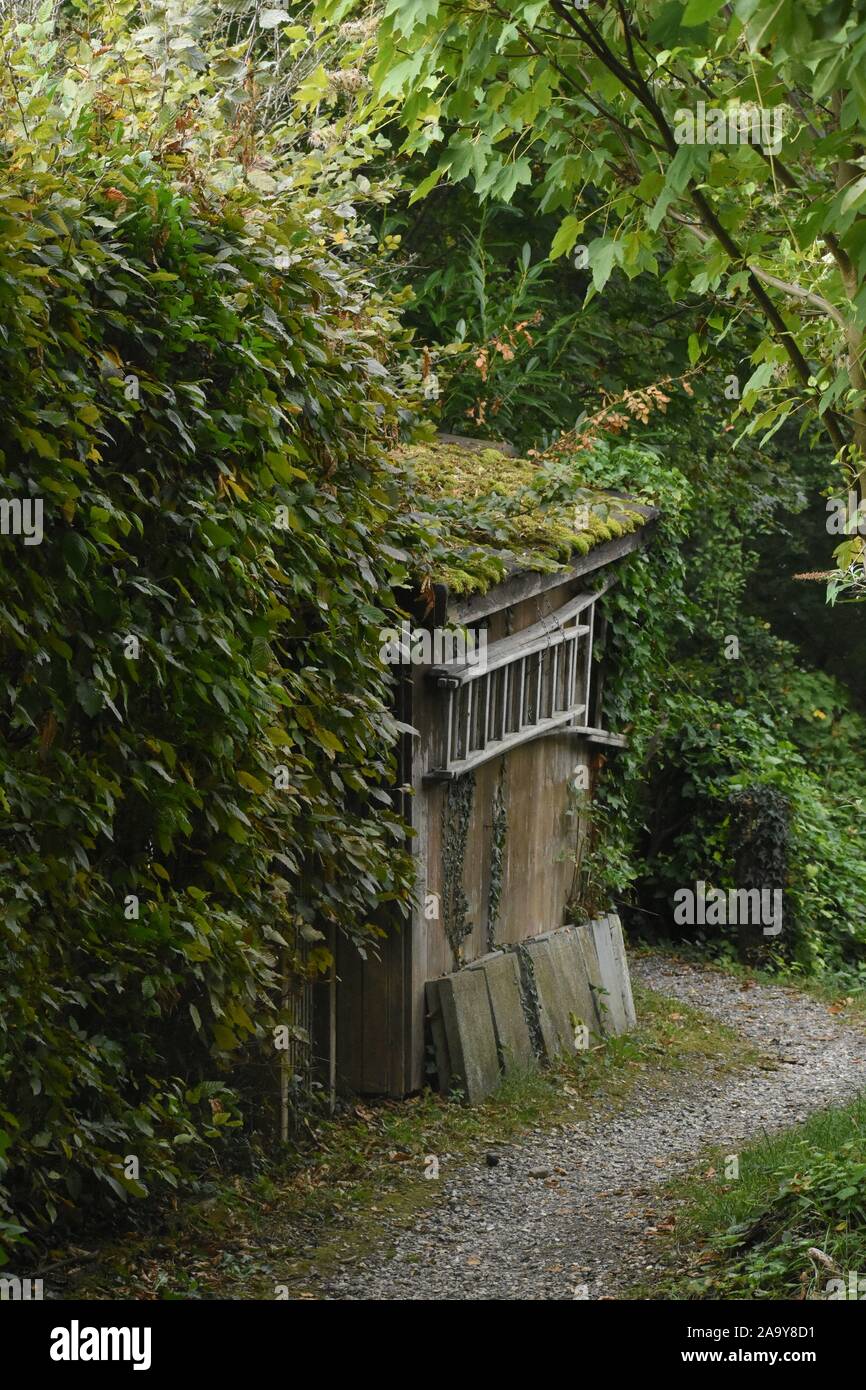 Old shed and ladder hi-res stock photography and images - Alamy