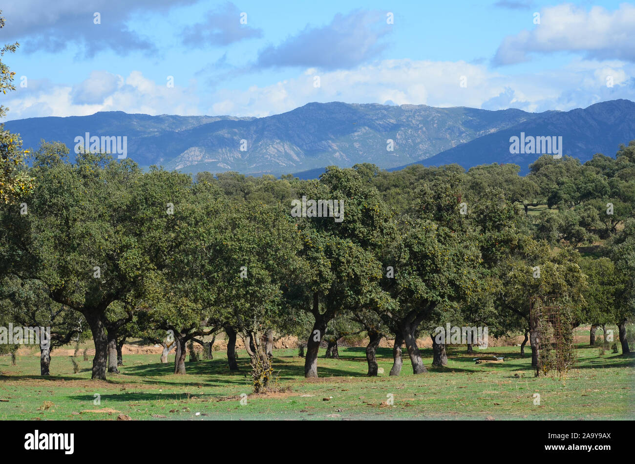 Azuel hi-res stock photography and images - Alamy