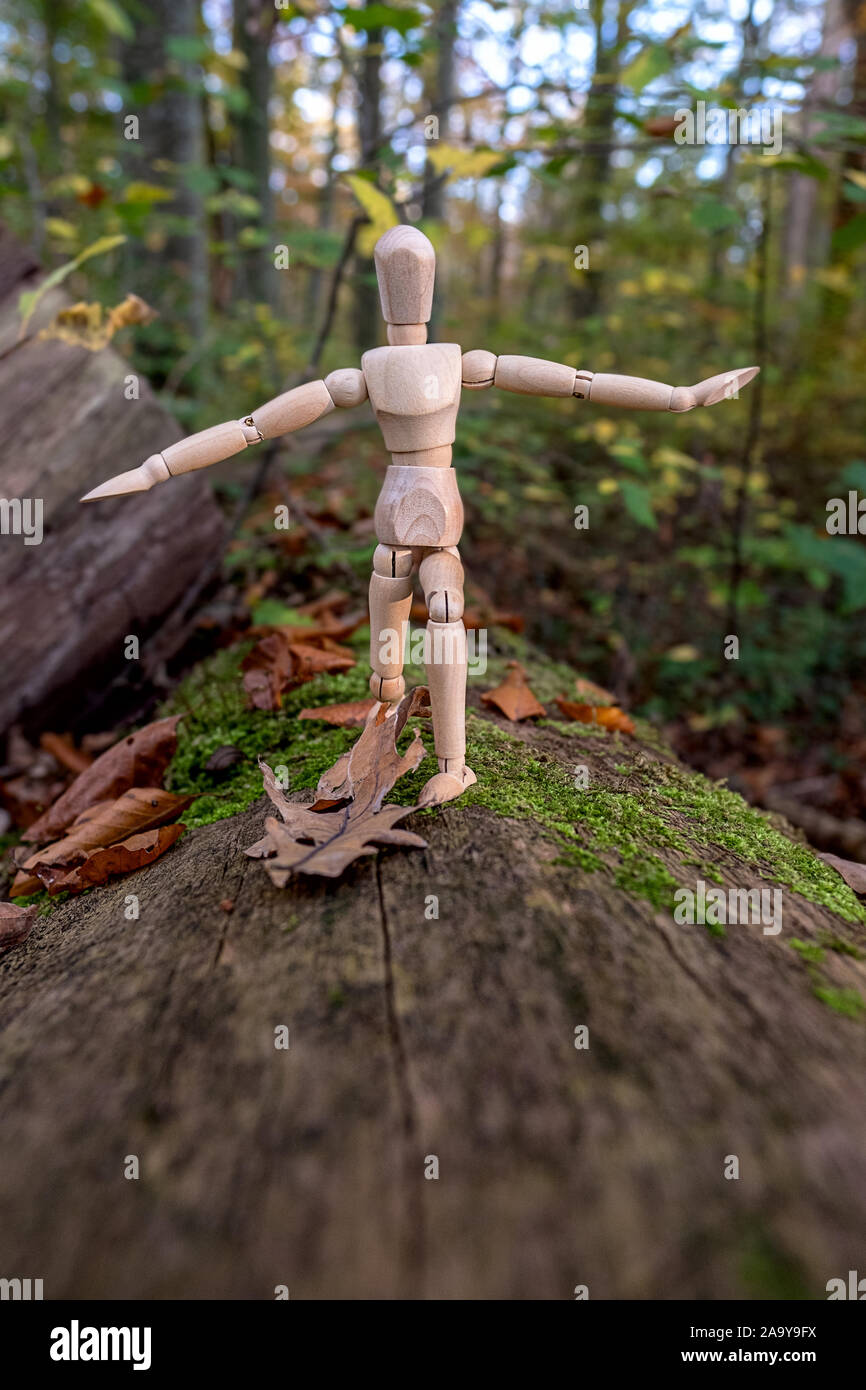 human and nature in balance, wooden puppet balancing in the forest on a ...