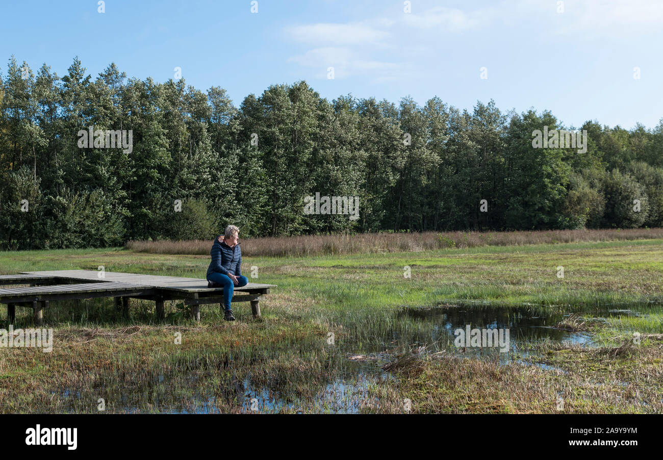 mature woman is resting in nature on a wooden platform in the Veluwe ...