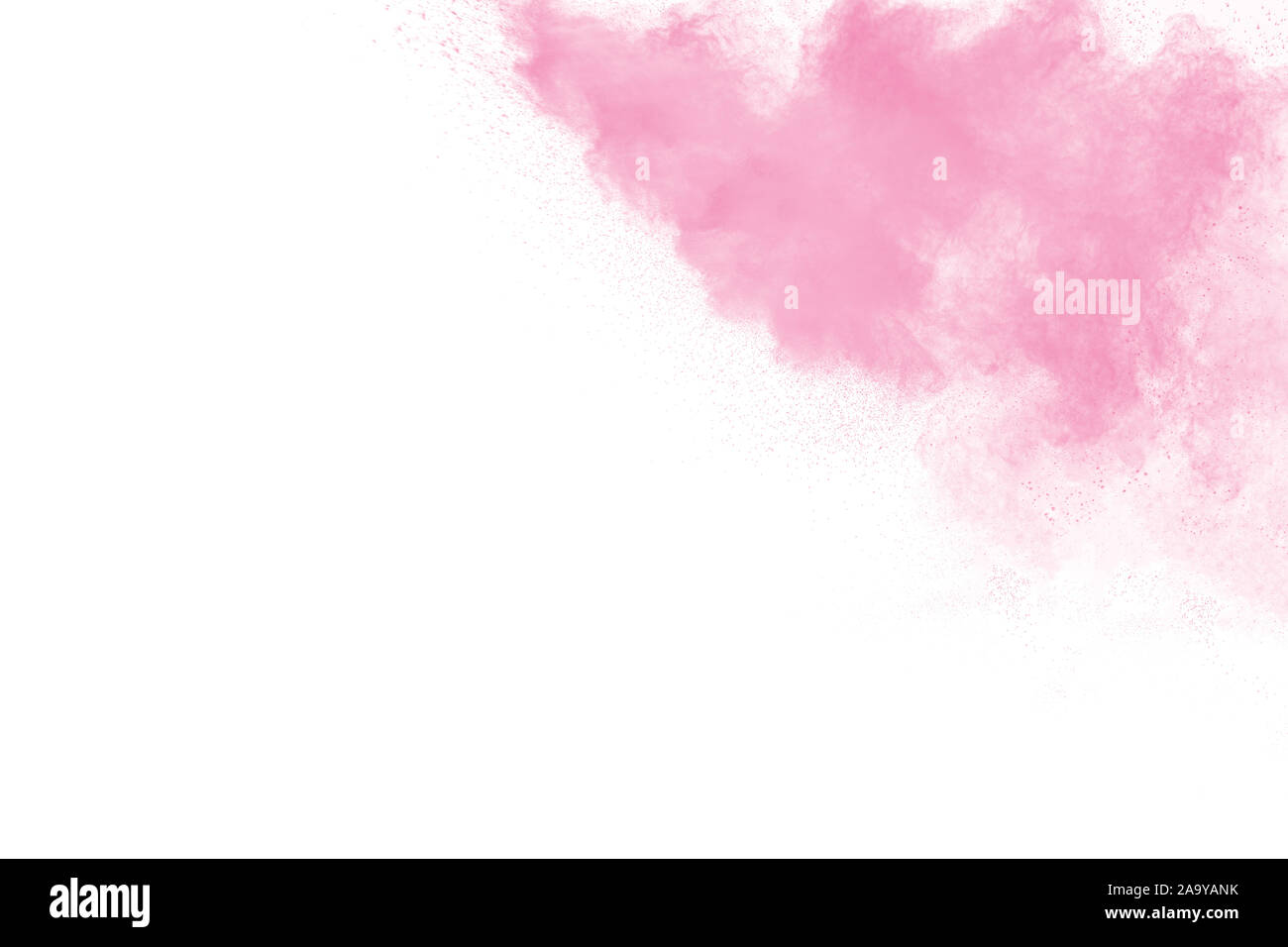 Pink powder explosion on white background.Pink dust splatter on ...