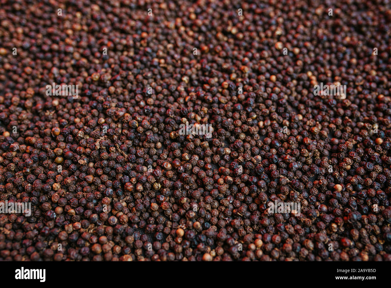 Black pepper grains background hi-res stock photography and images - Alamy