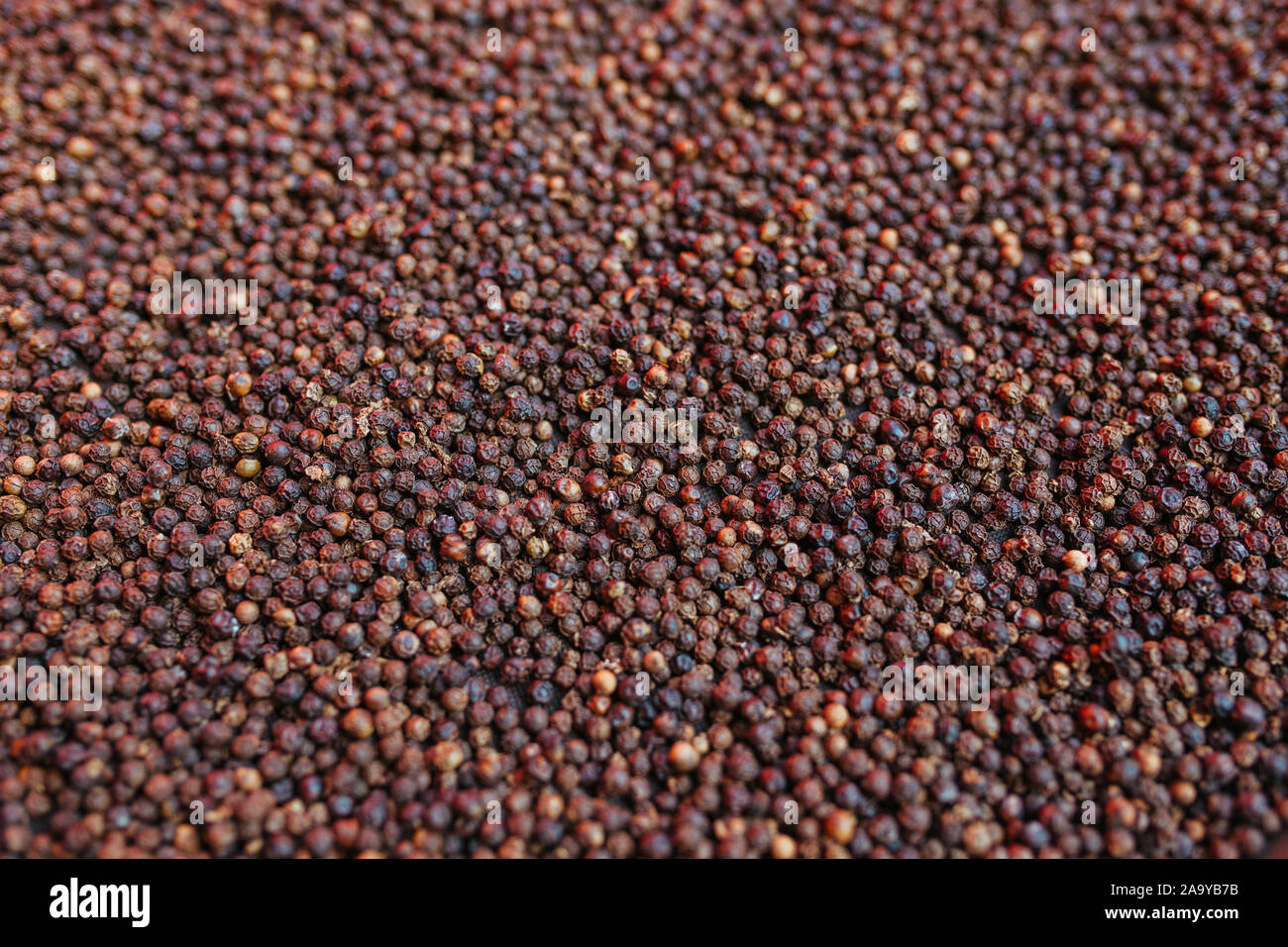 Sun dried grains hi-res stock photography and images - Alamy