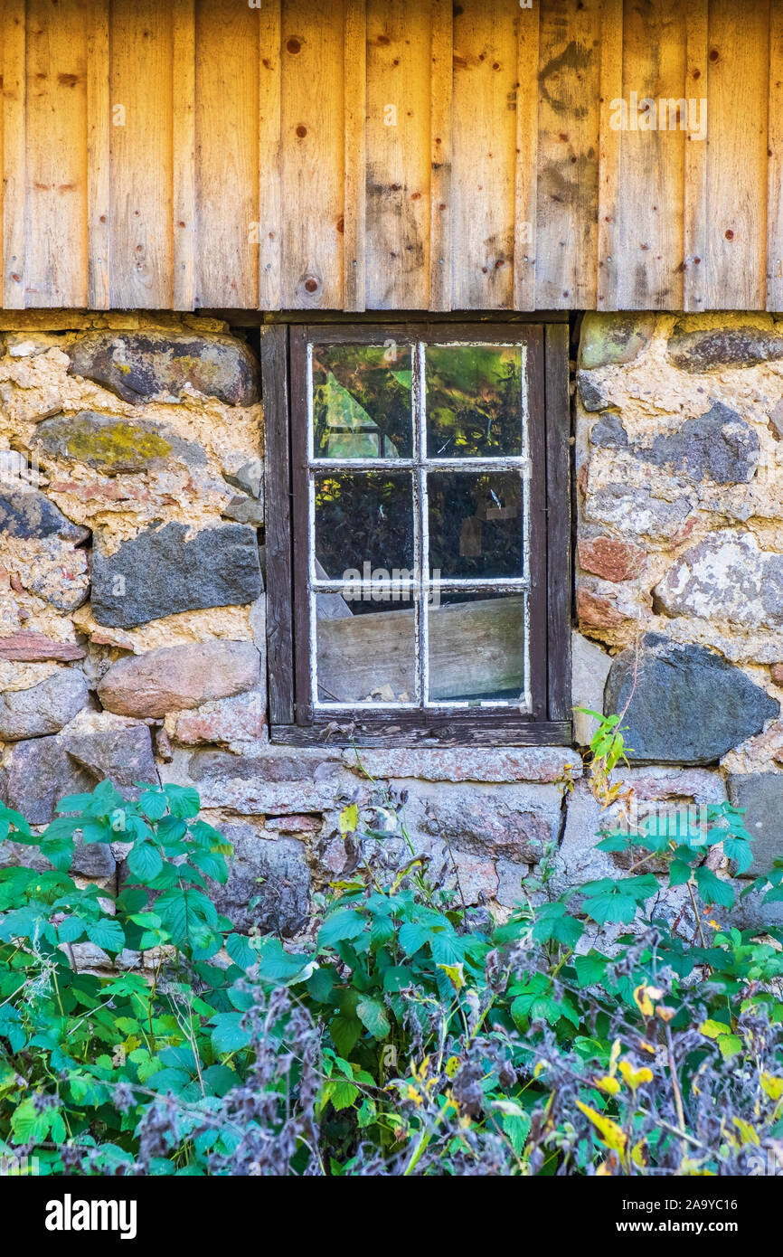 Cellar window on an old house with a wild garden Stock Photo - Alamy