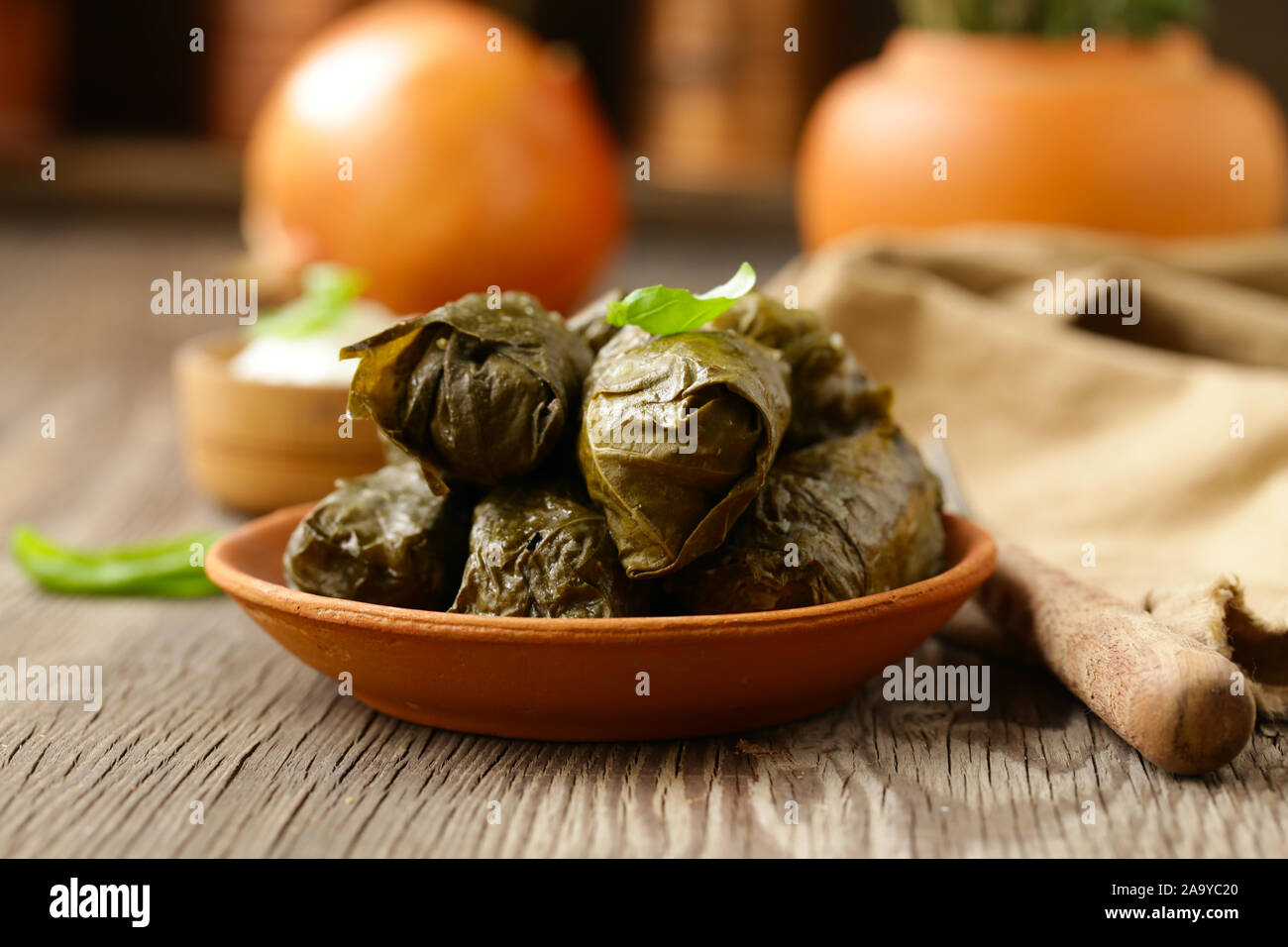 traditional georgian dolma food in grape leaves Stock Photo - Alamy