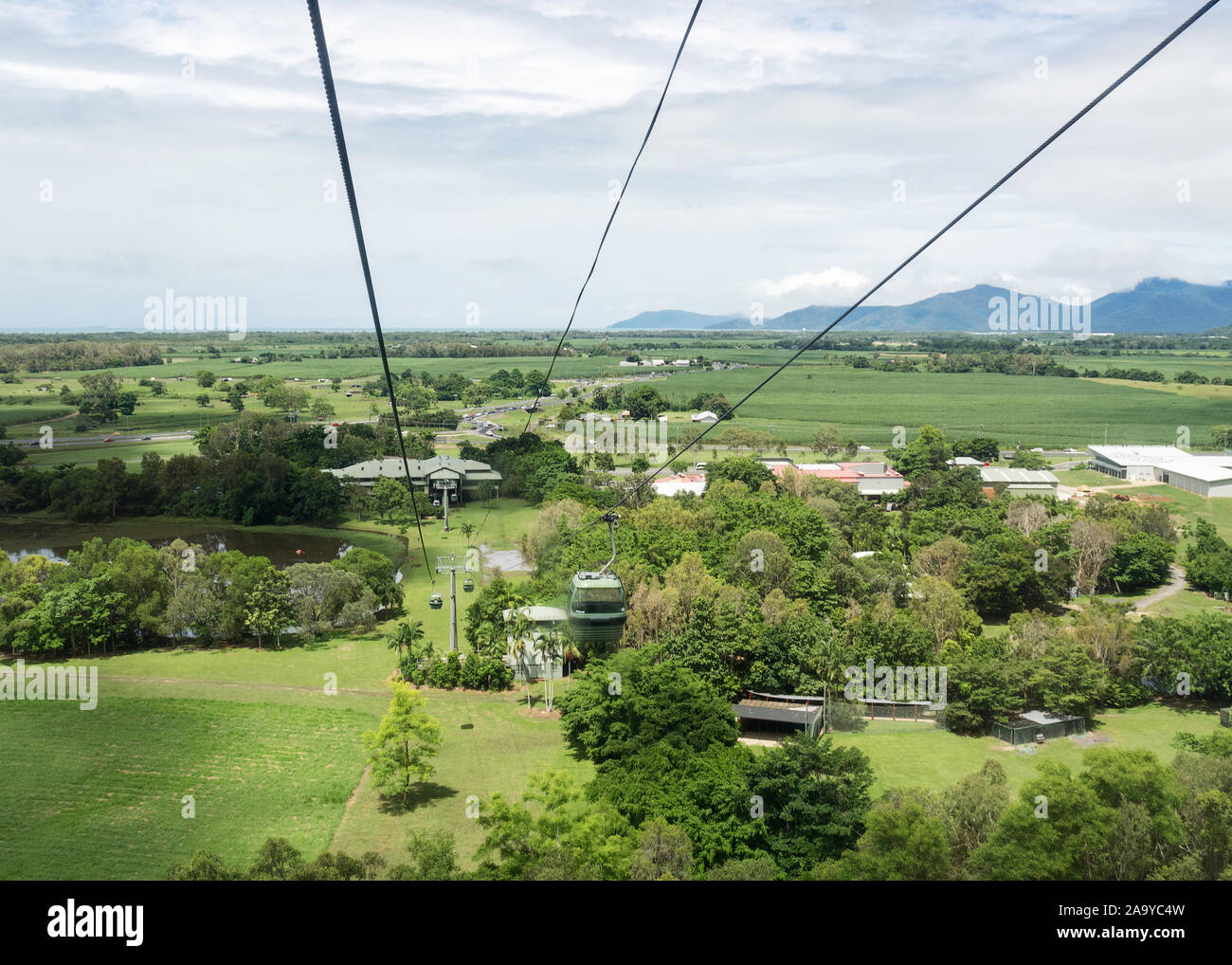 Skyrail above the rain forest Stock Photo - Alamy