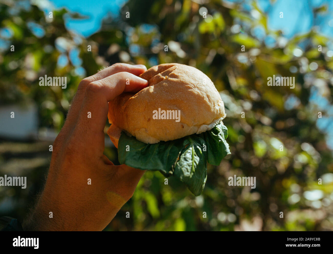 Sub sandwich in hand hi-res stock photography and images - Alamy