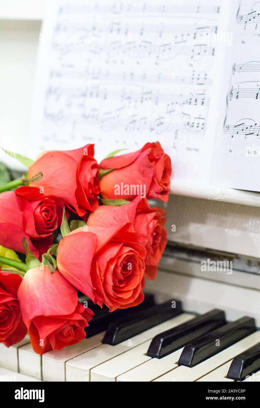 Red roses on a white piano with notes and garlands Stock Photo - Alamy