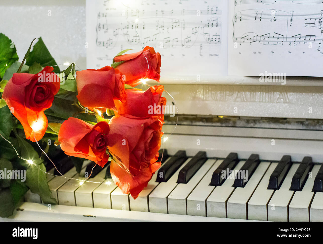 Red rose on piano keyboard hi-res stock photography and images - Alamy