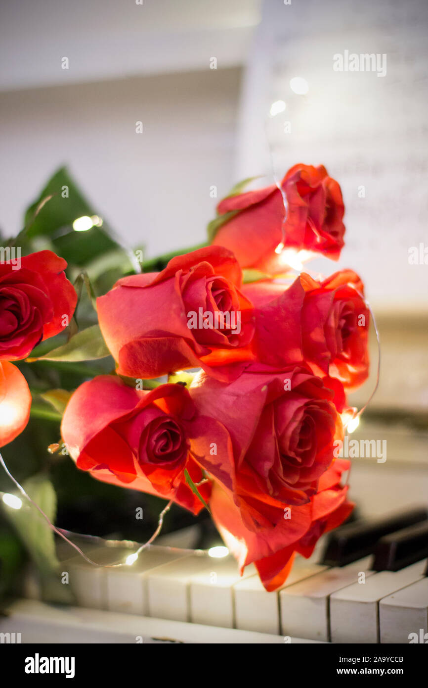 Red rose on piano keyboard hi-res stock photography and images - Alamy