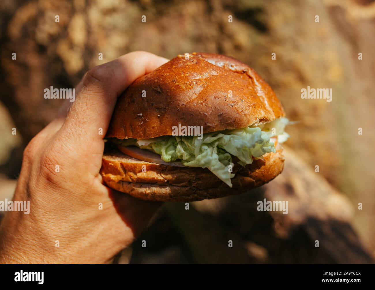 Sub sandwich in hand hi-res stock photography and images - Alamy