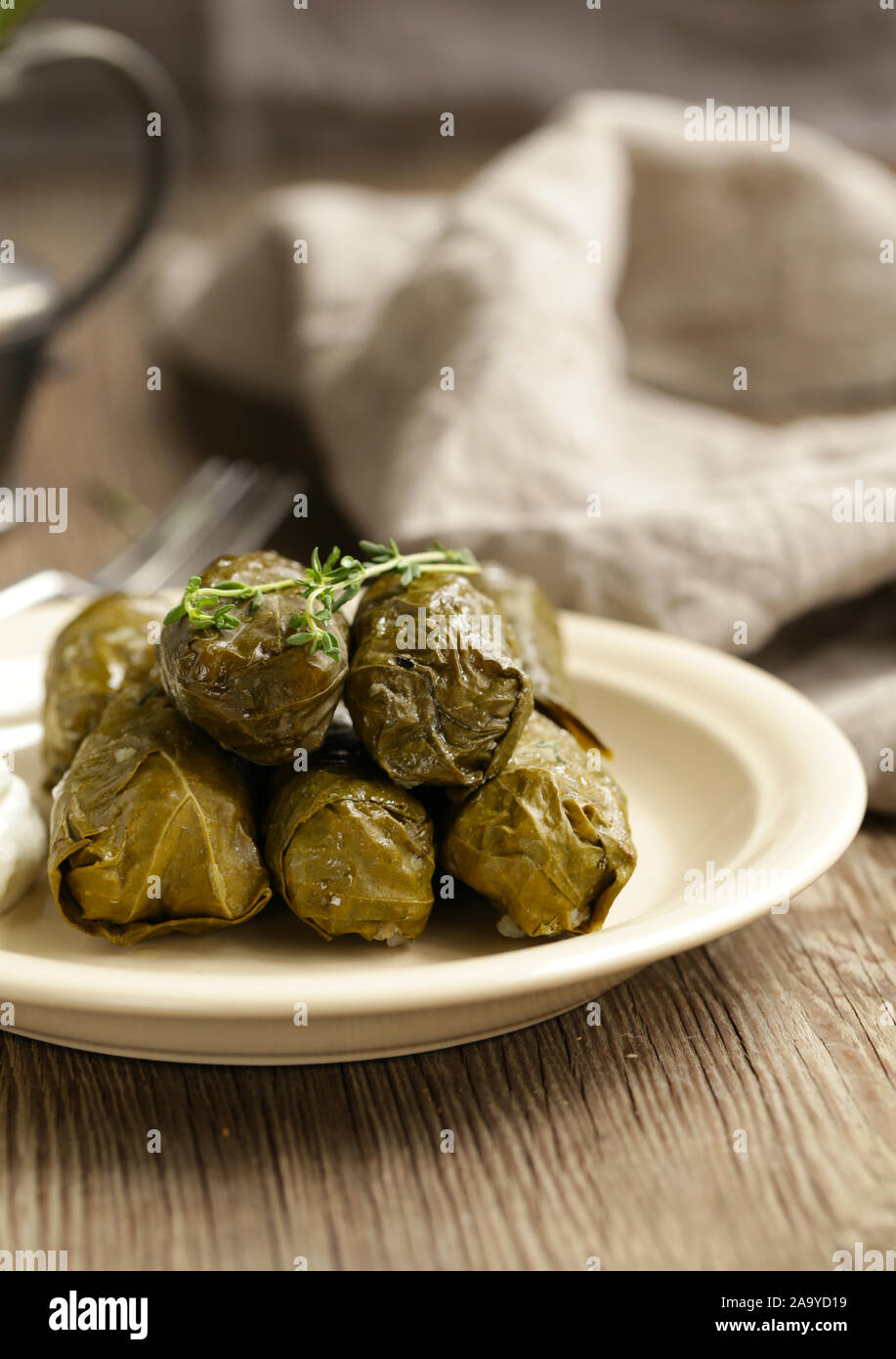 traditional georgian dolma food in grape leaves Stock Photo - Alamy