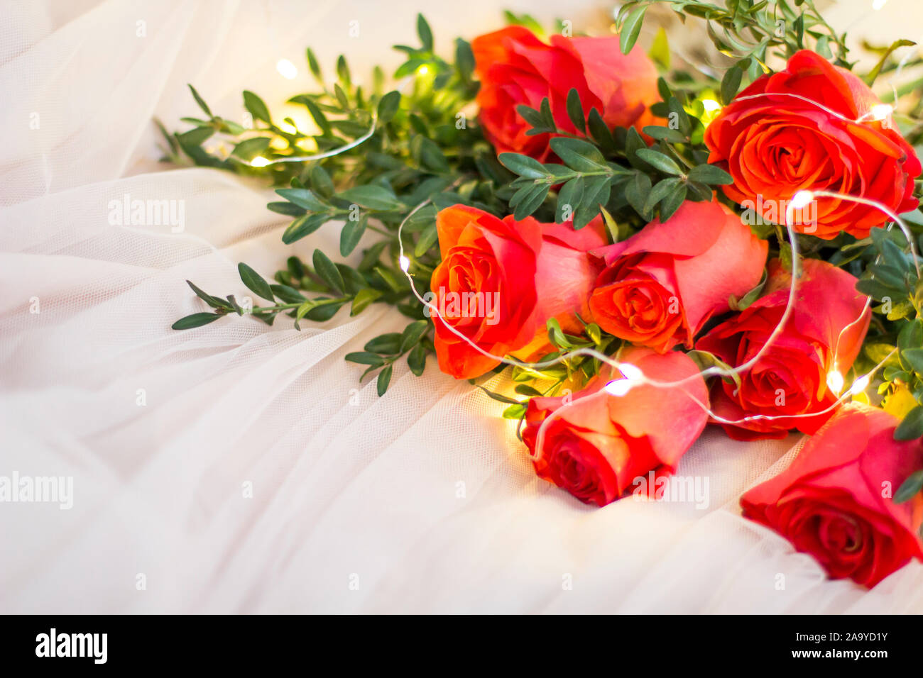 Rose and boxwood hi-res stock photography and images - Alamy