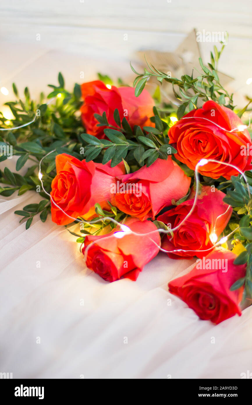 Rose and boxwood hi-res stock photography and images - Alamy
