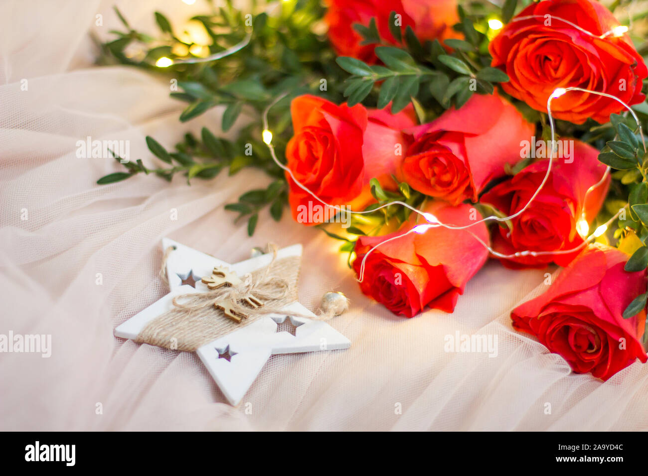 Rose and boxwood hi-res stock photography and images - Alamy