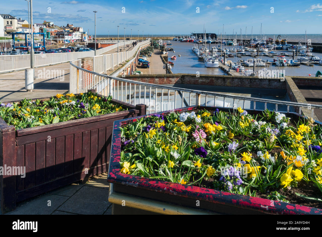Bridlington pier, looking to harbour, flower display, East Riding ...