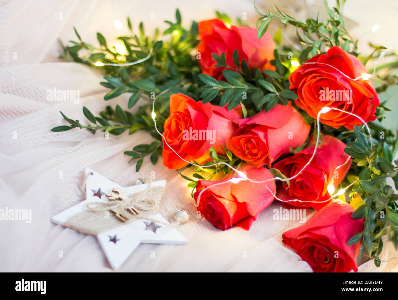 Rose and boxwood hi-res stock photography and images - Alamy