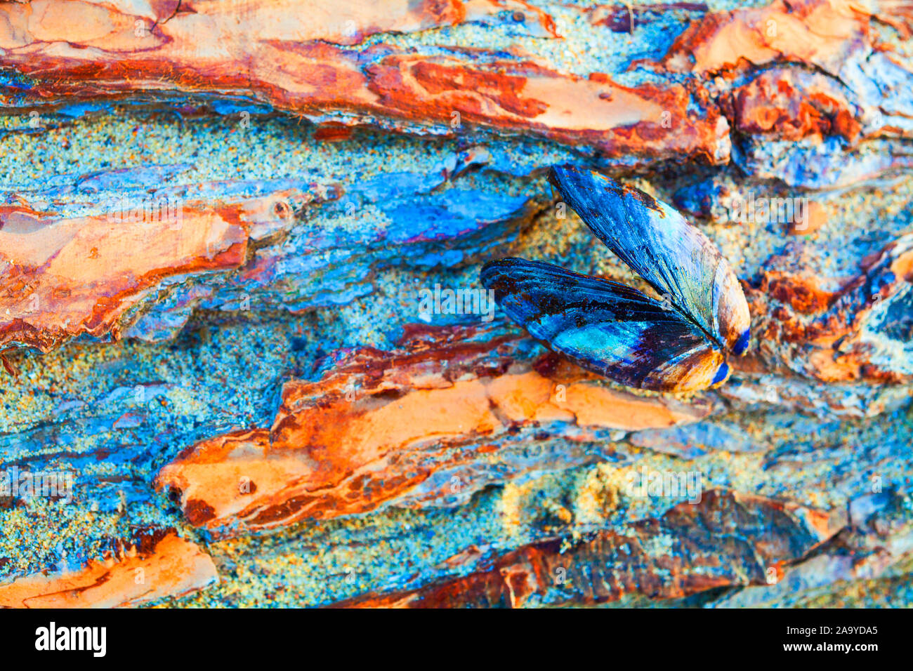 Striking colours hi-res stock photography and images - Alamy