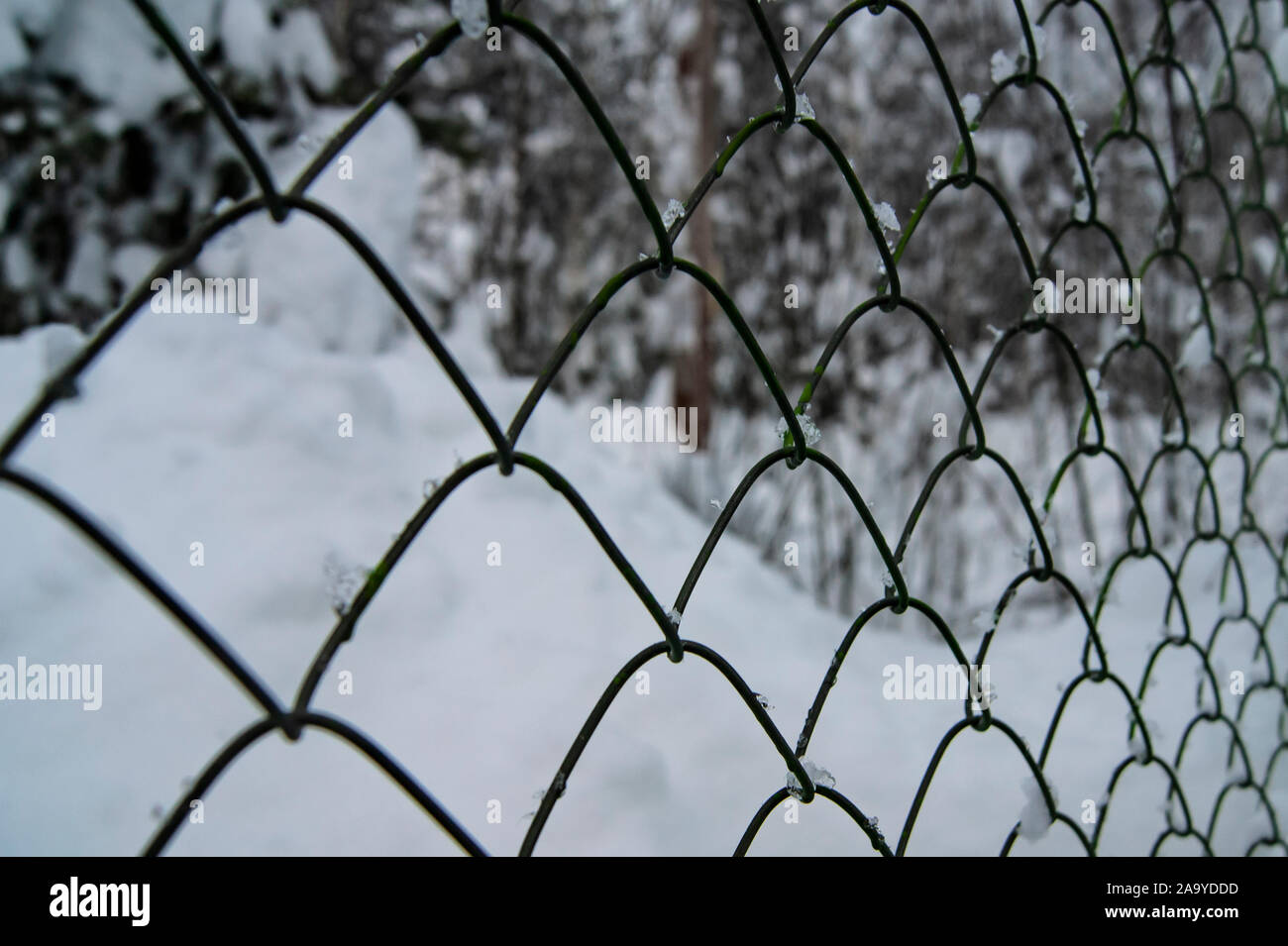 Fence mesh chain-link in winter. Rhombic steel pattern Stock Photo - Alamy